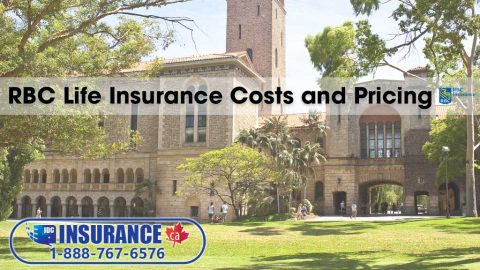 RBC Life Insurance Company Reviews 2024 – Insurance Direct Canada