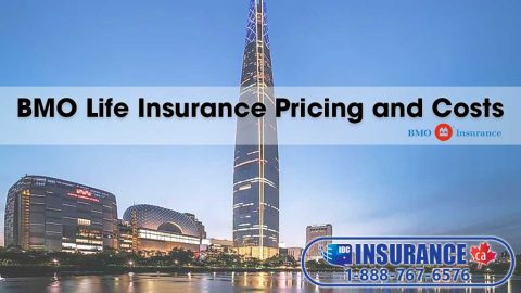 BMO Insurance Reviews: A Focus On Term Life, Whole Life, Universal Life ...