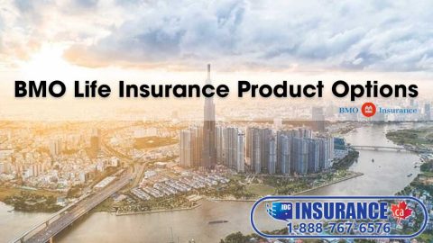 BMO Insurance Reviews: A Focus On Term Life, Whole Life, Universal Life ...