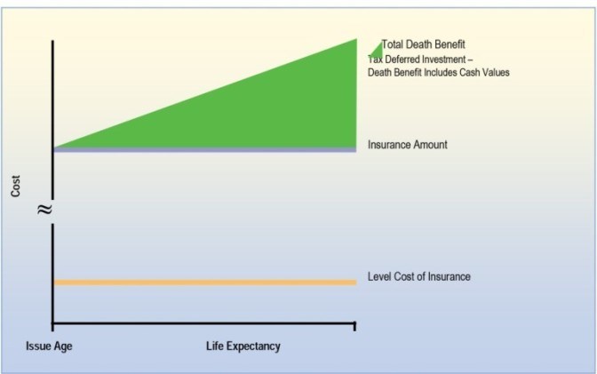 Deciding Which Life Insurance Policy Is Right For You – Insurance ...