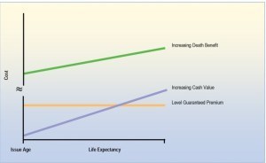 Deciding Which Life Insurance Policy Is Right For You – Insurance ...